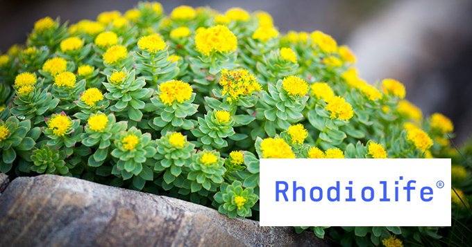 PLT Health Rhodiolife